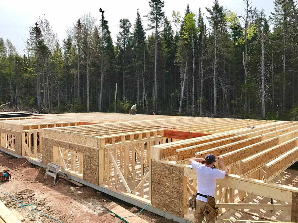 4 unit frame – NIMA Construction